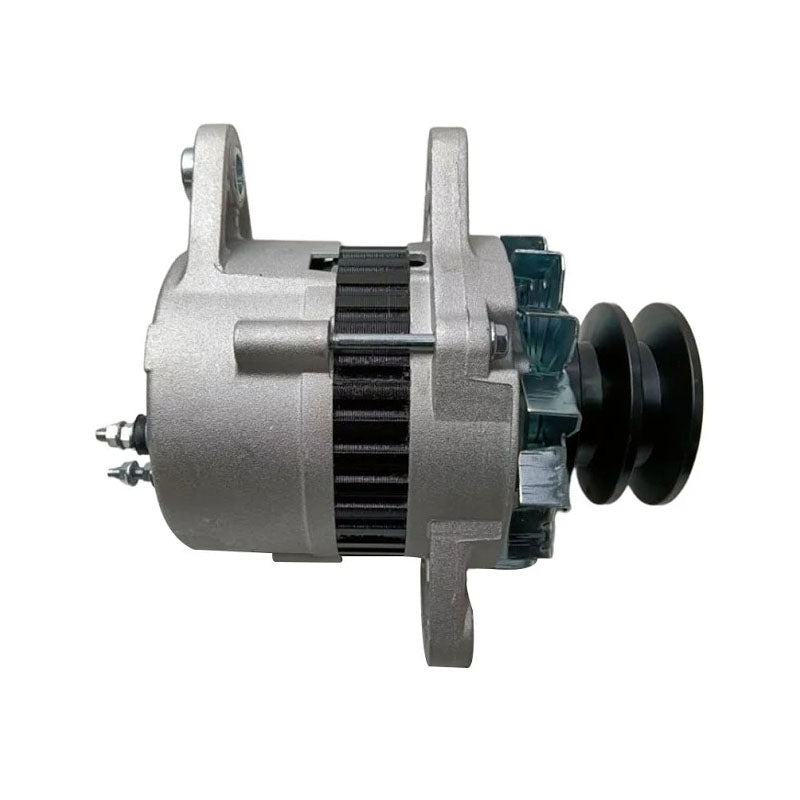 24V 30A Alternator 600-821-6130 0-33000-5840 for Komatsu S4D95L-1 6D10 ...